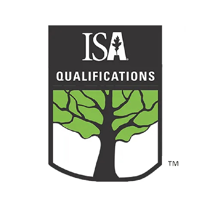 Leading The Way | Treecare Specialists | Treetech