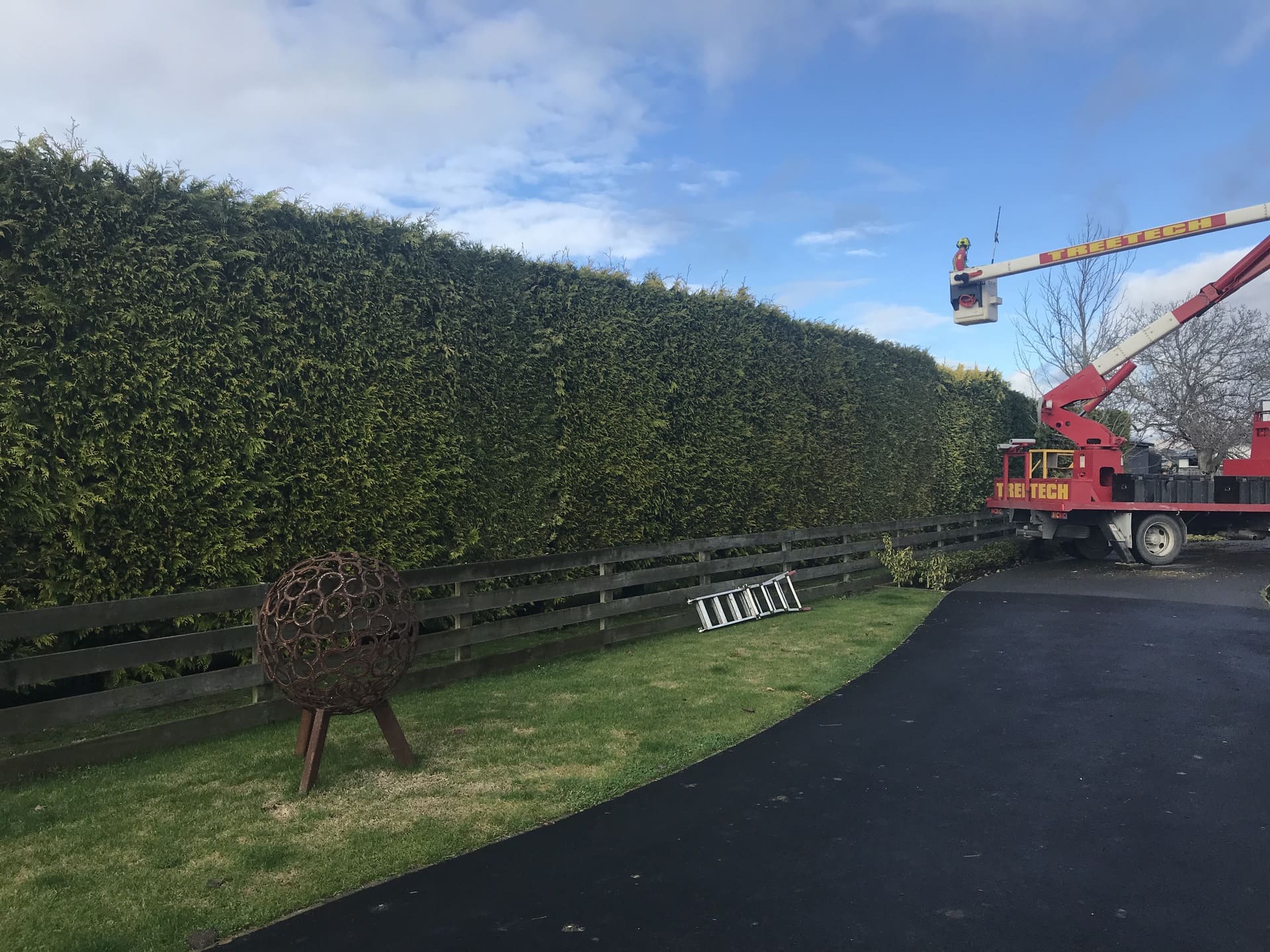 Arborist Job Opportunities | Arboriculture | Treetech