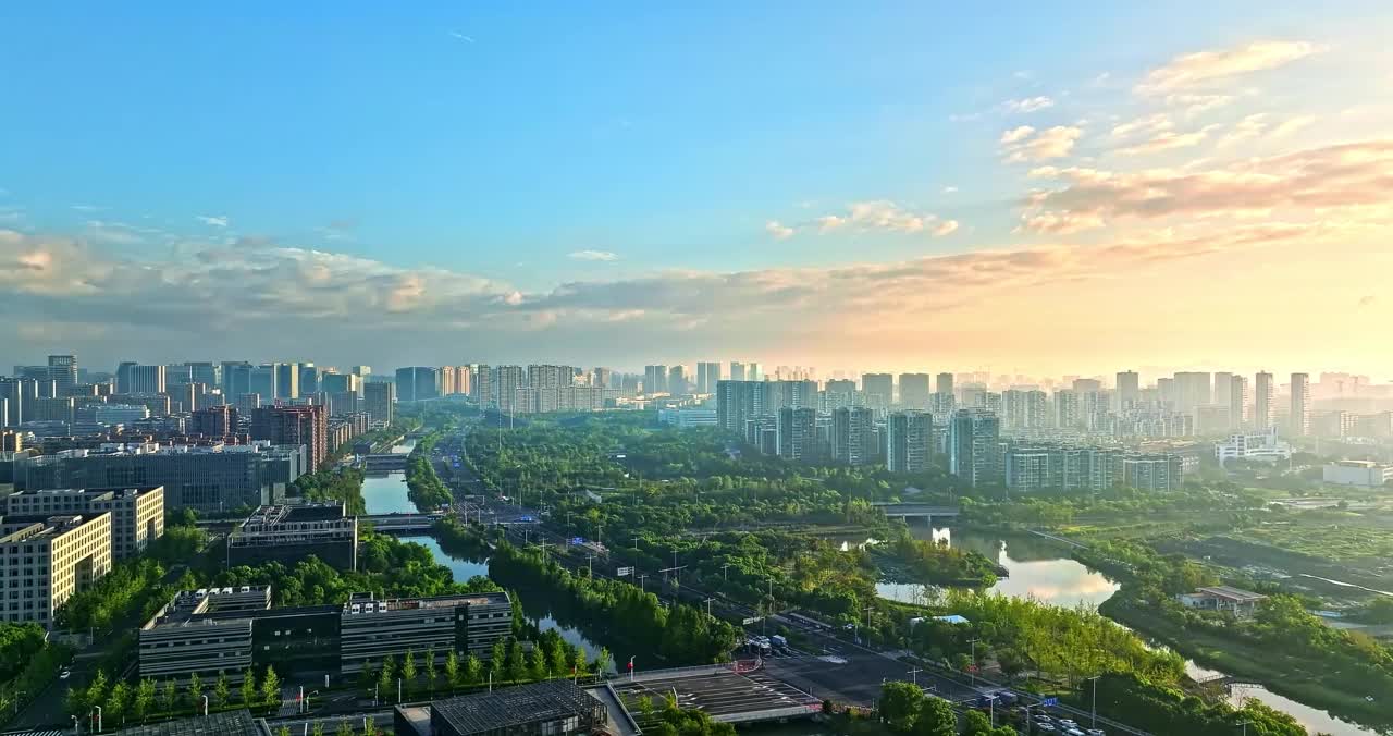 Greehill | Innovation | Treetech