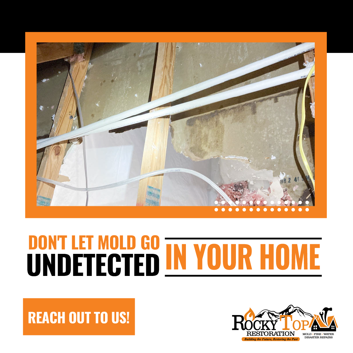 Understanding Mold Growth: Causes, Risks, and Remediation Solutions ...