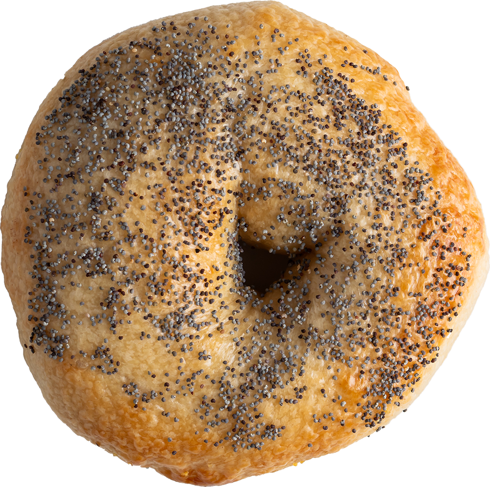 Ugly Bagel