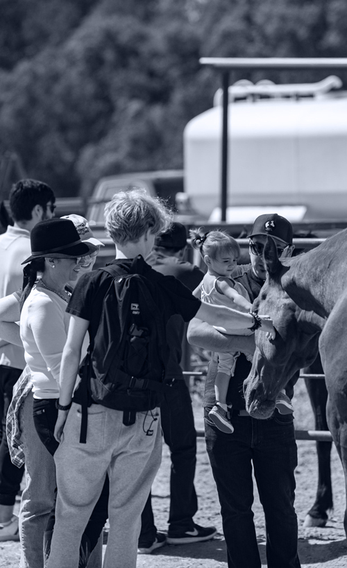 About Us - EKN Engineering