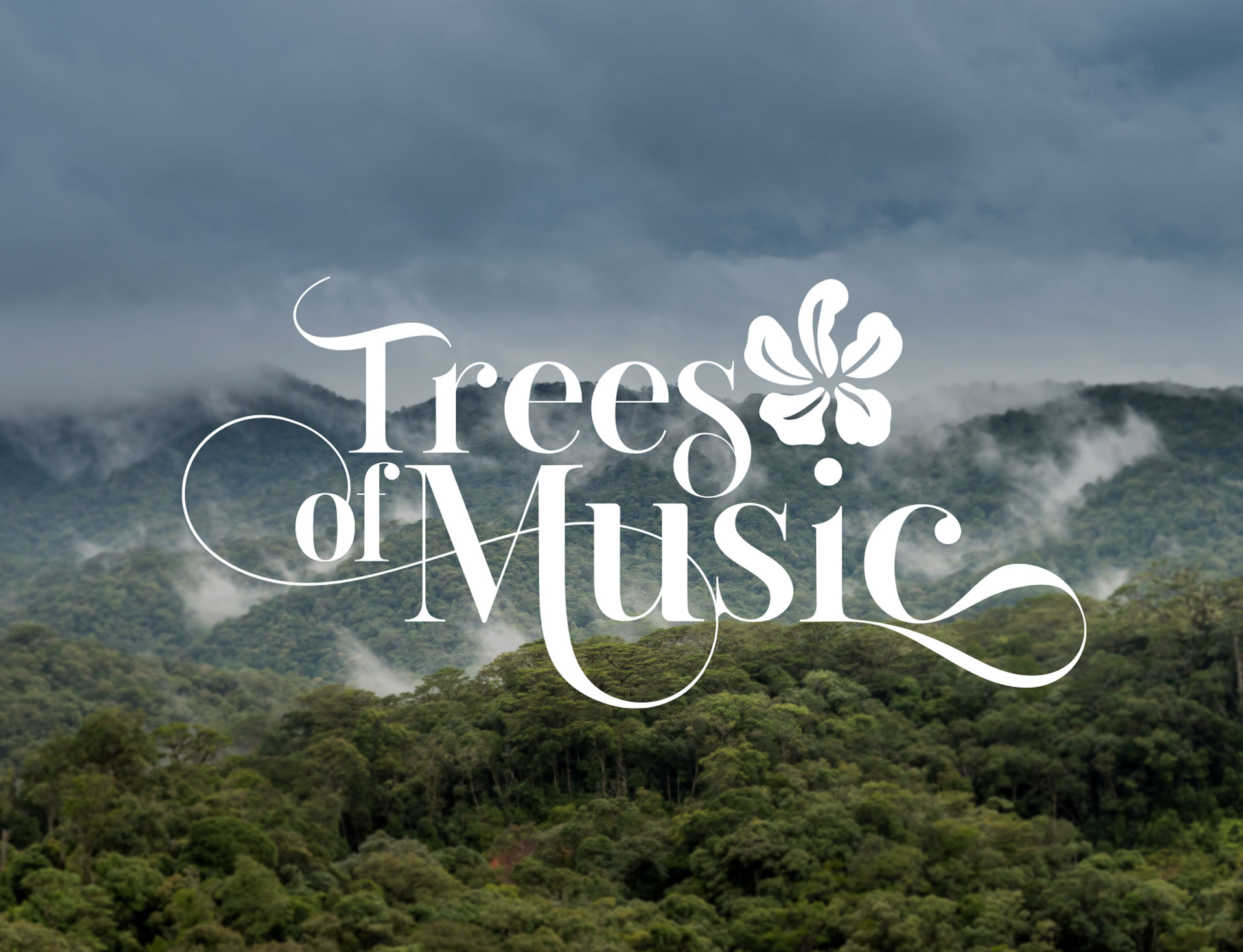 Trees of Music ~ Logo Design by Jose Montoto