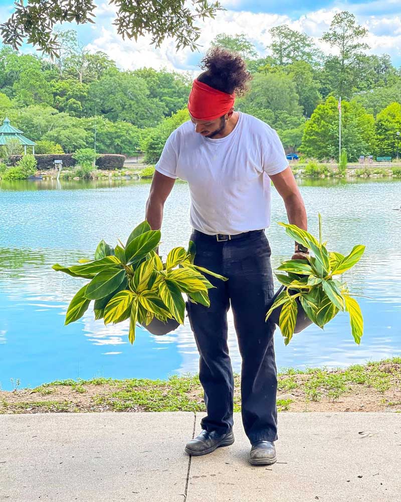 Restaurant Hours Announcement