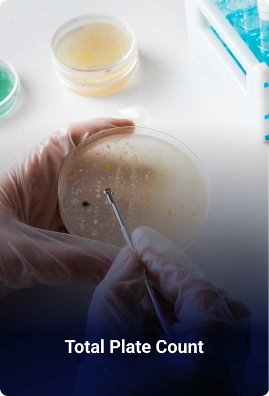 Chemical and Microbiological Laboratory Test Services