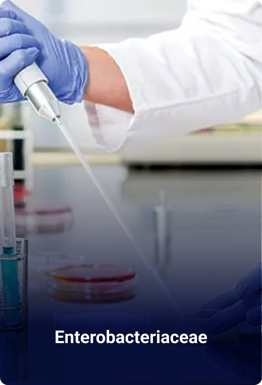Chemical and Microbiological Laboratory Test Services