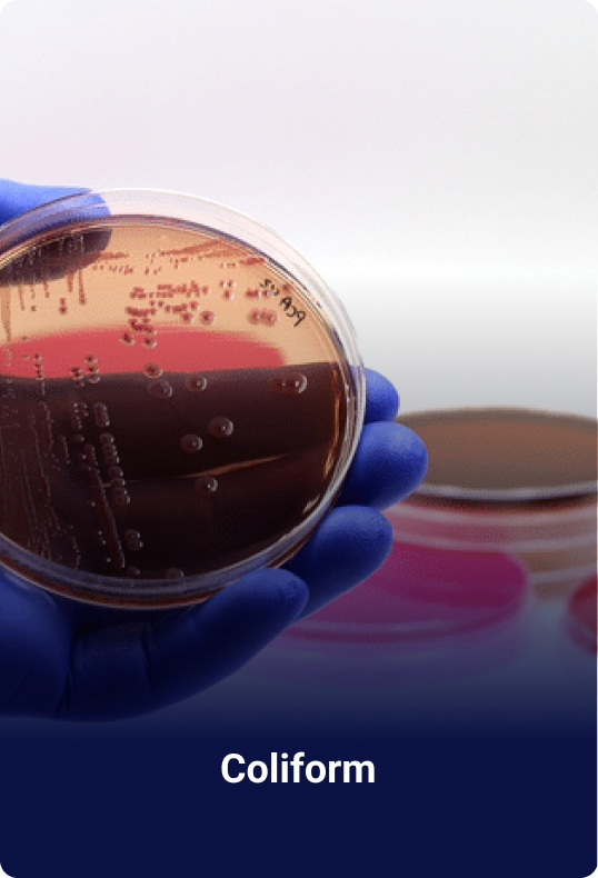 Chemical and Microbiological Laboratory Test Services