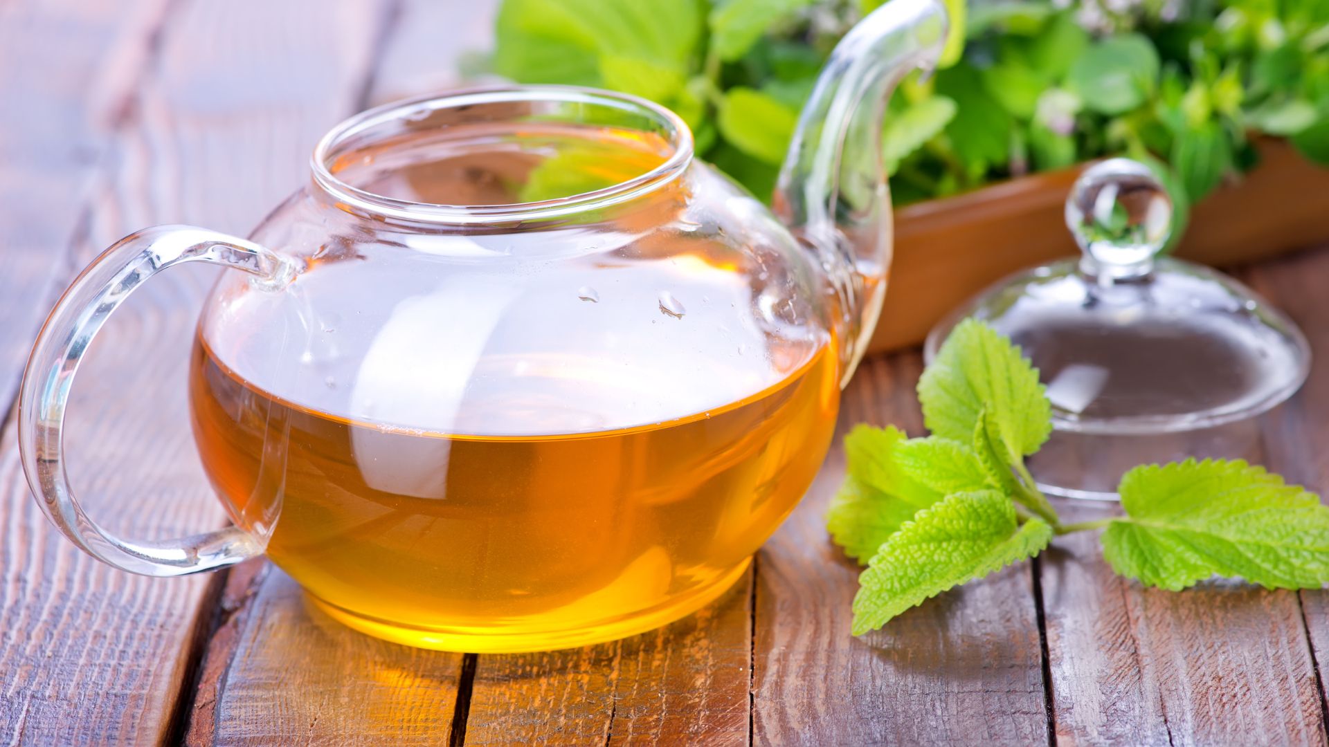 Snip and sip: how to grow your own herbal tea