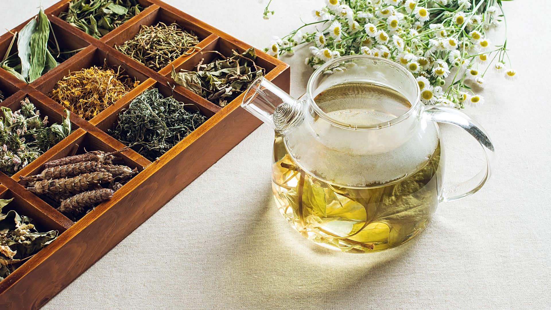 Snip and sip: how to grow your own herbal tea