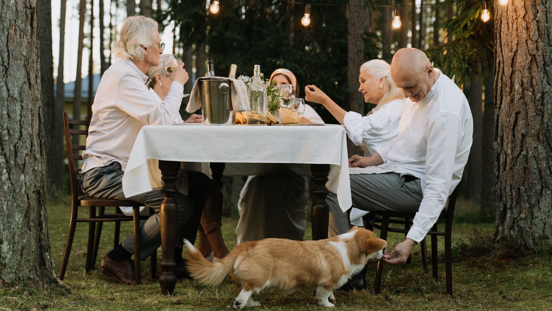Matching great food to the right wine
