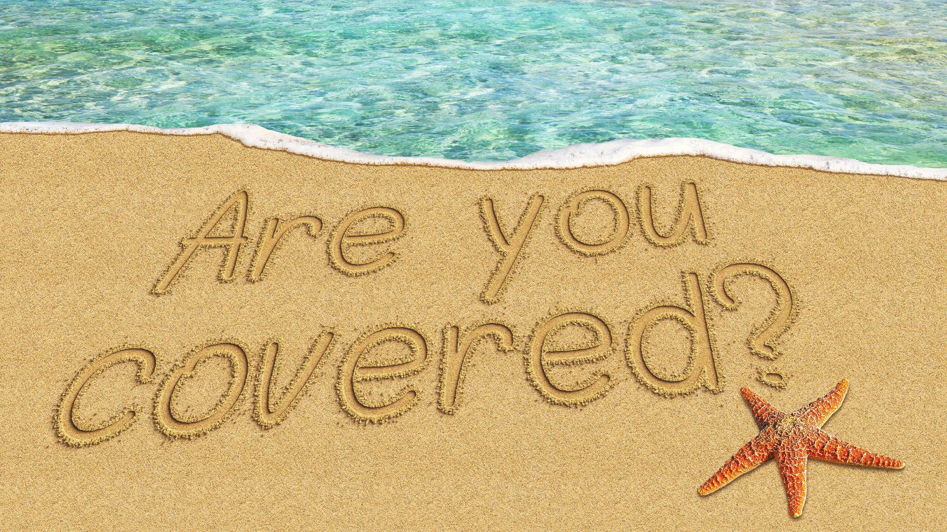 Travel safely with Freely travel insurance