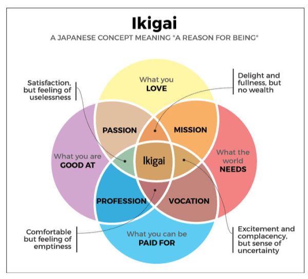 10 lifestyle swaps for longevity - a Citro guide