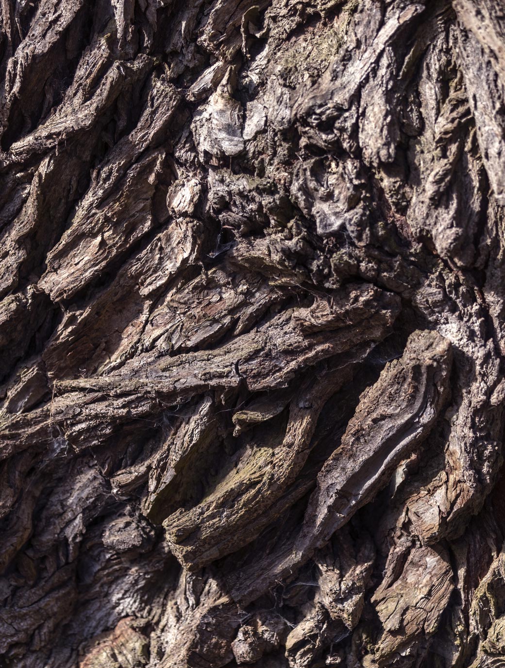 Abbots Ripton Estate | Our History