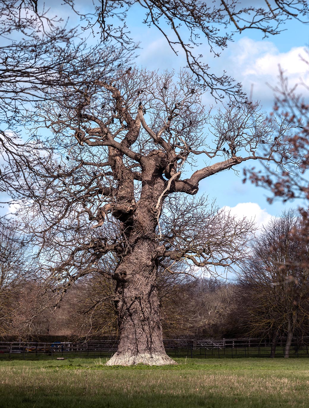 Abbots Ripton Estate | Our History