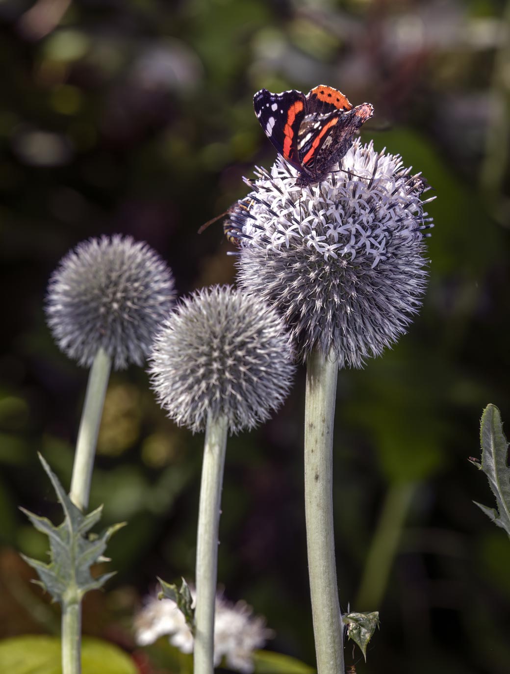 Abbots Ripton Estate | About The Estate