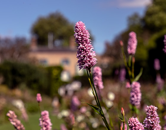 Abbots Ripton Estate | Visiting