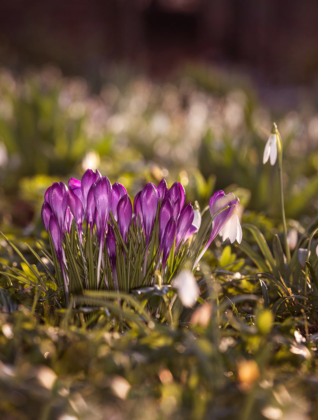 Abbots Ripton Estate | Our History