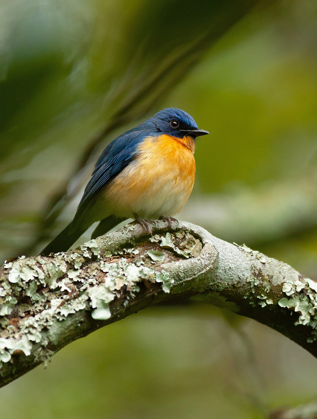 Abbots Ripton Estate | About The Estate