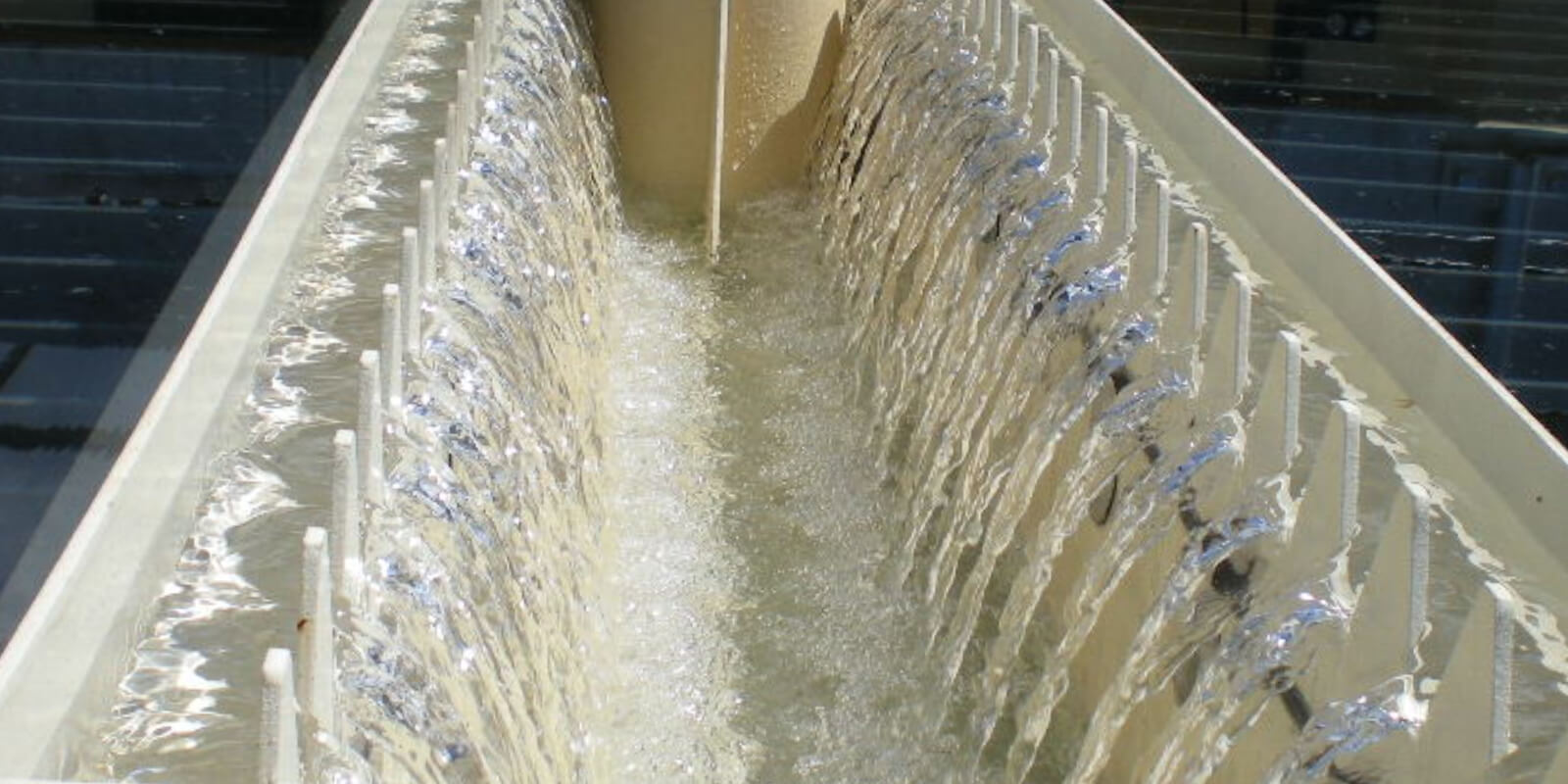 We Know Water | Alpheus