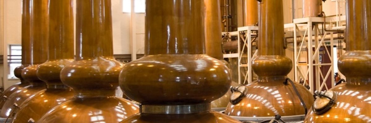 Distillery Water and Wastewater Management | Alpheus