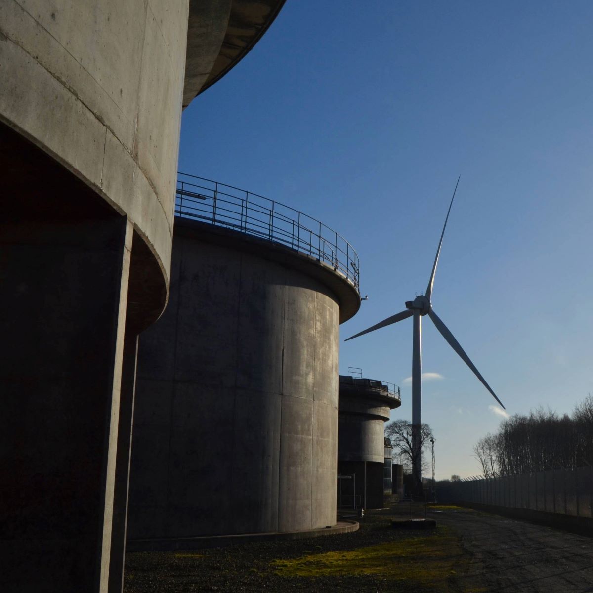 Case Studies | Alpheus