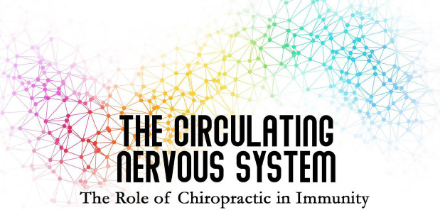The Role of Chiropractic in Immunity | Elevate Chiropractic