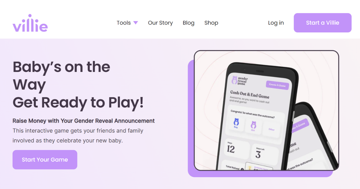 Baby Gender Reveal Game - Raise $ with Each Guess