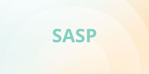 Double Time Docs - Blog - Enhancing Independence and Functionality: A ...