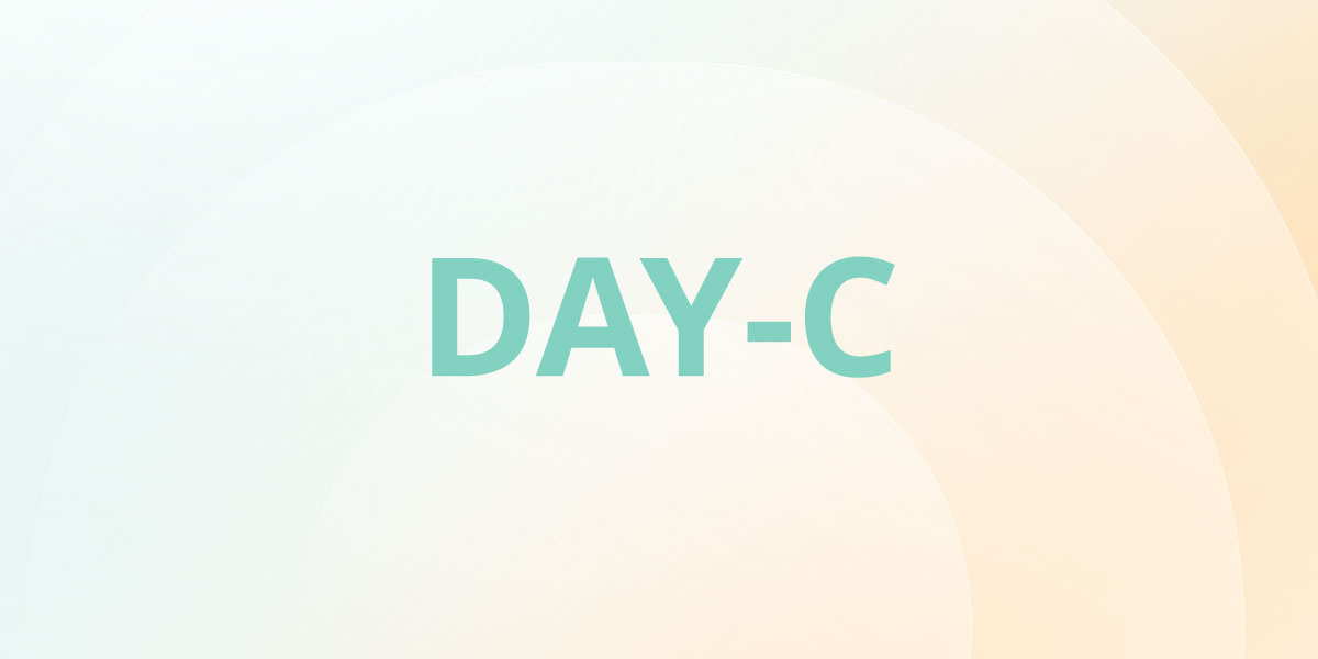 Double Time Docs - Blog - The DAY-C Assessment: A Comprehensive ...