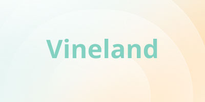 Double Time Docs - Blog - Using Vineland for Adaptive Behavior Measurement