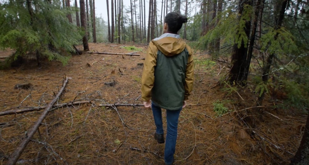 Documentary | Forestry For The Future