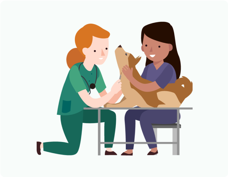 DVM Mentorship Program