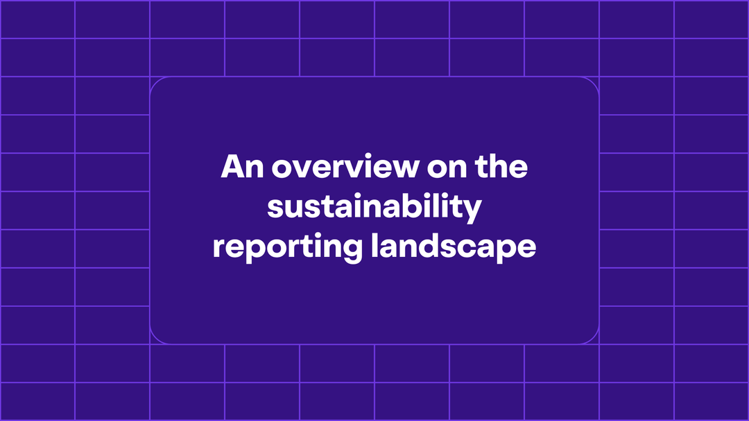 An overview on the sustainability reporting landscape