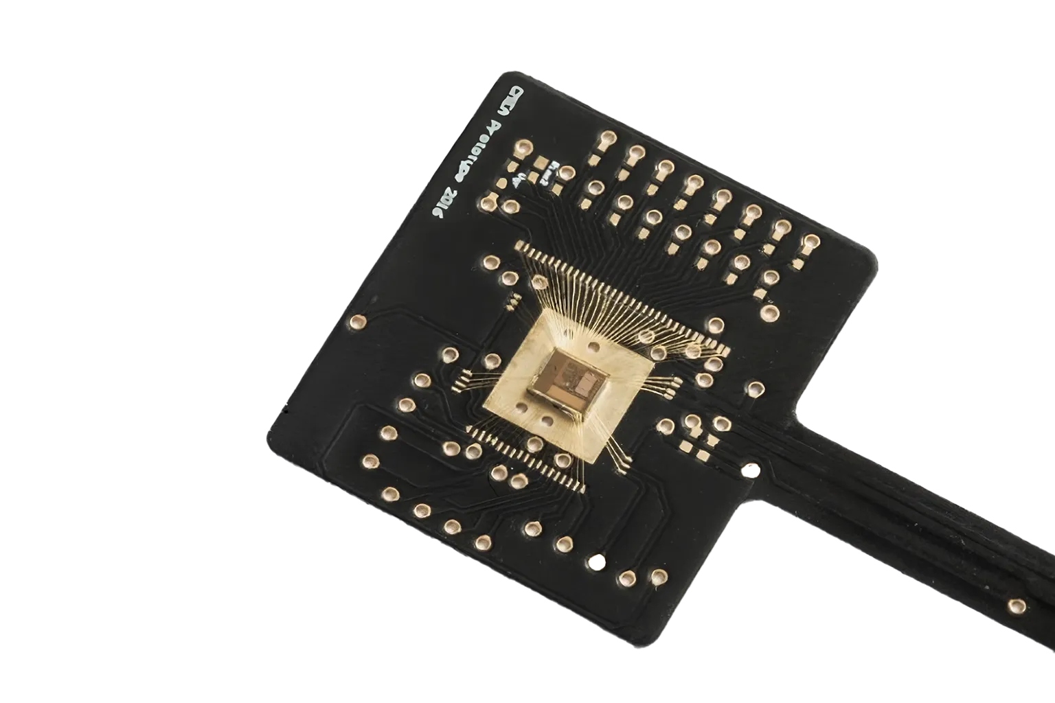 BioPro Scientific (BPS) - We Aim for Universal Brain Health