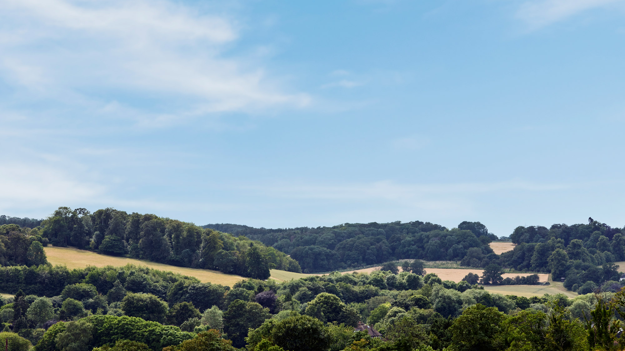 Birch Grove – Location