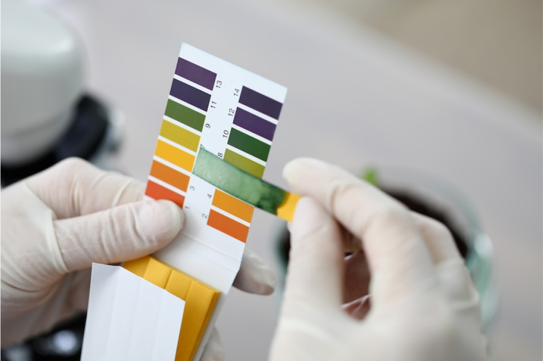 Reagentes Químicos Exemplo: Conheça alguns casos de uso na indústria