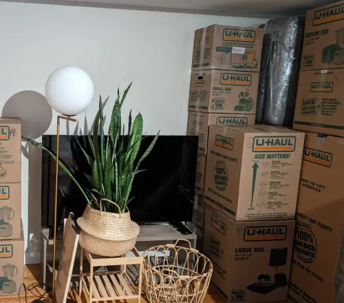 Residential Movers in Calgary from $89/h🌵 Cactus Moving