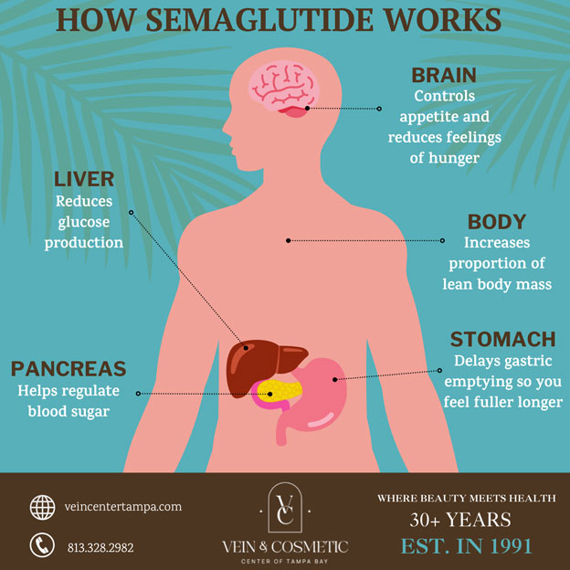 Medical Weight Loss with Semaglutide | Vein & Cosmetic Center of Tampa Bay | Tampa Bay’s Trusted ...