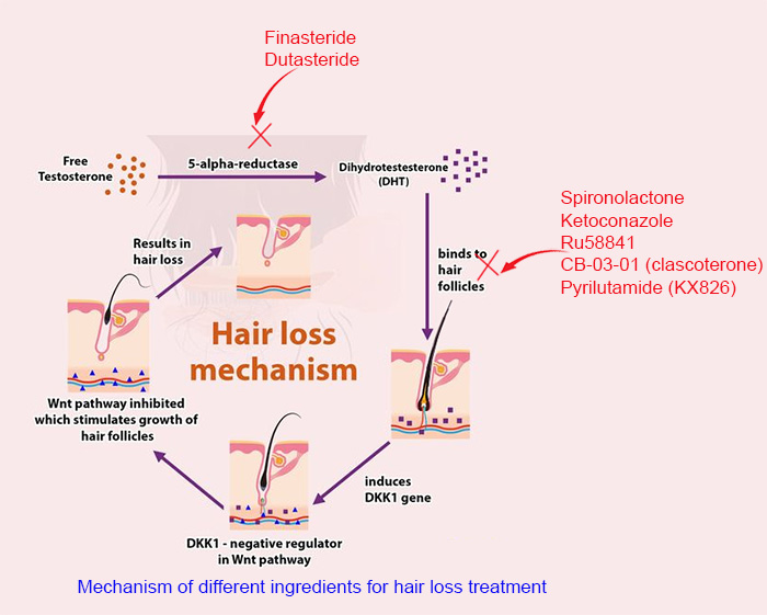 Finasteride vs Dutasteride: Everything You Need to Know - Hairly