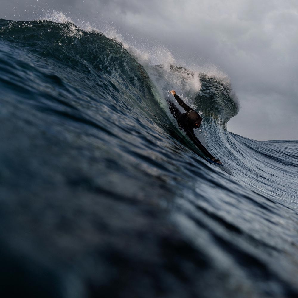 YULEX | From The Tree