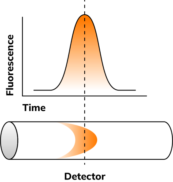 FIDA: Flow Induced Dispersion Analysis - Molecular Interactions with no ...