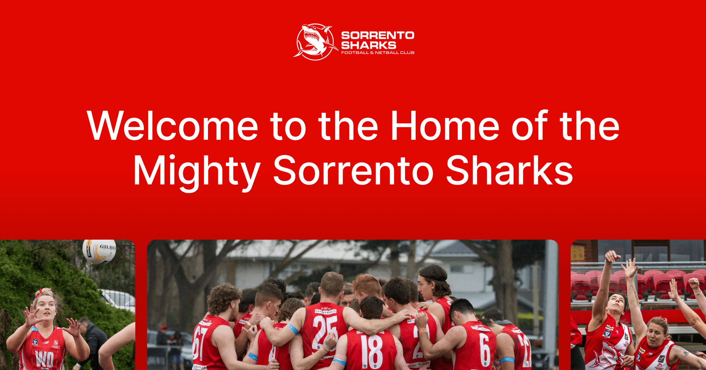 Home of the Mighty Sharks — Sorrento Sharks FNC
