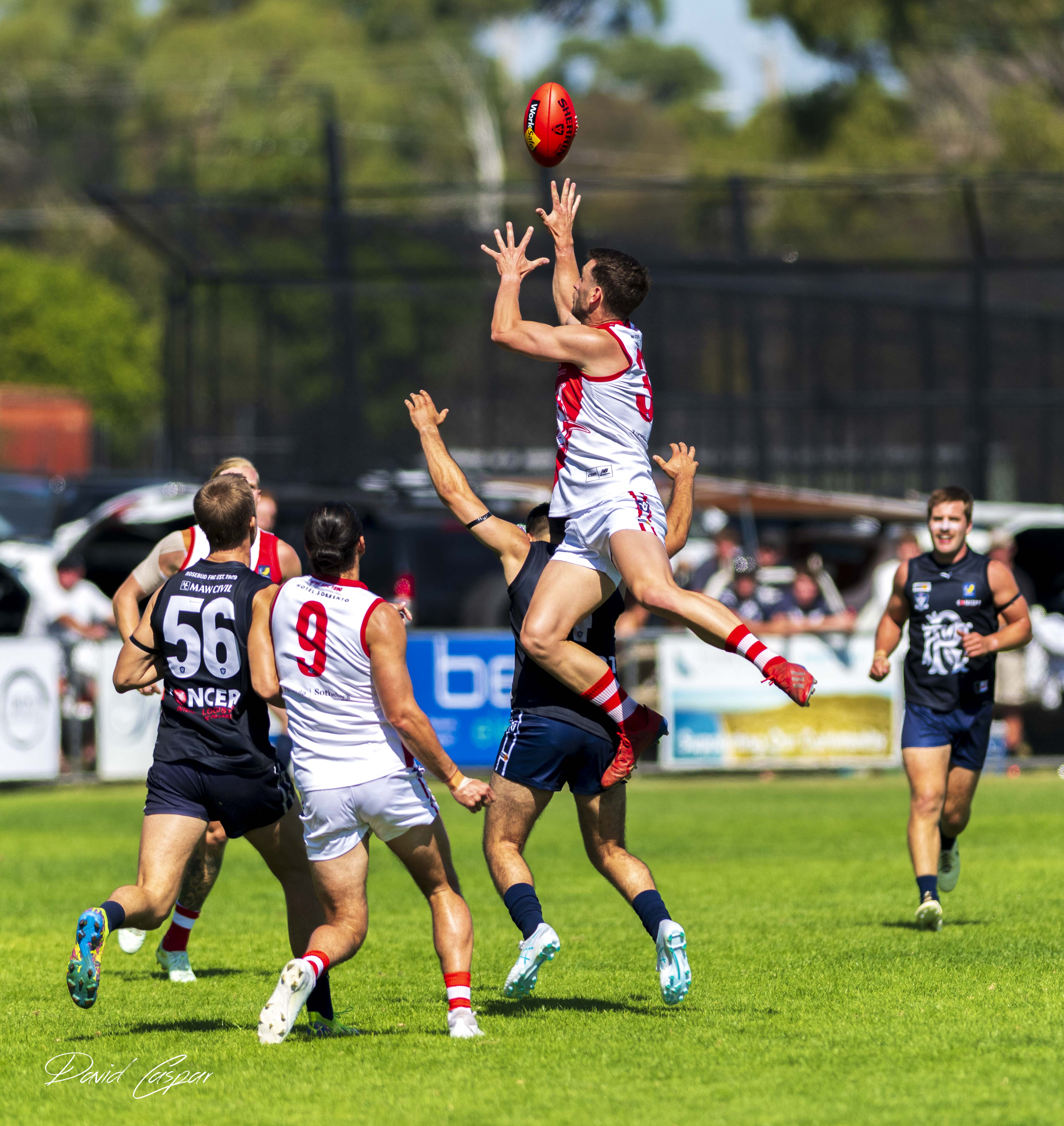 Football Support Crew — Sorrento Sharks FNC