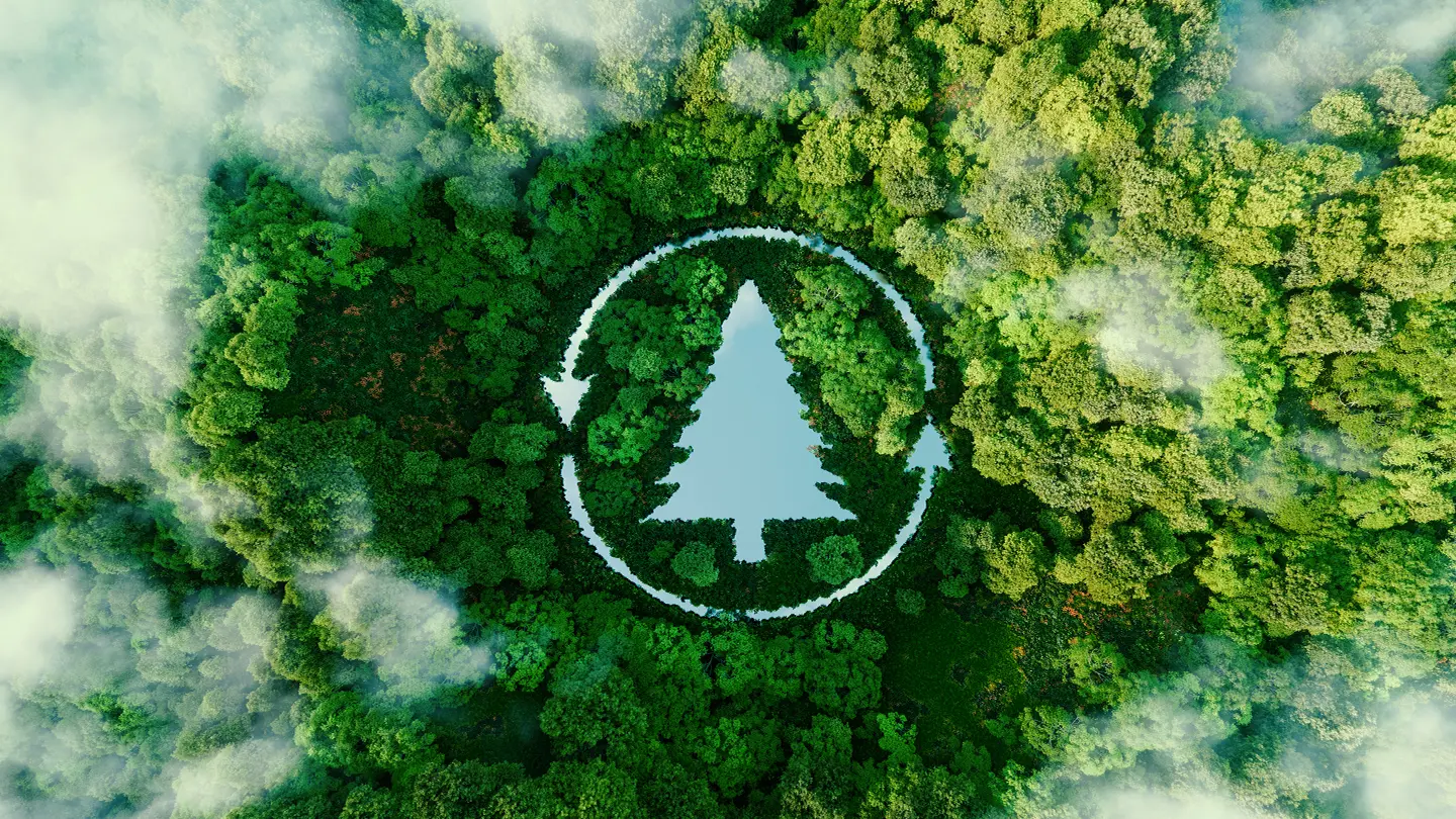 Zero Waste | Forestry For The Future