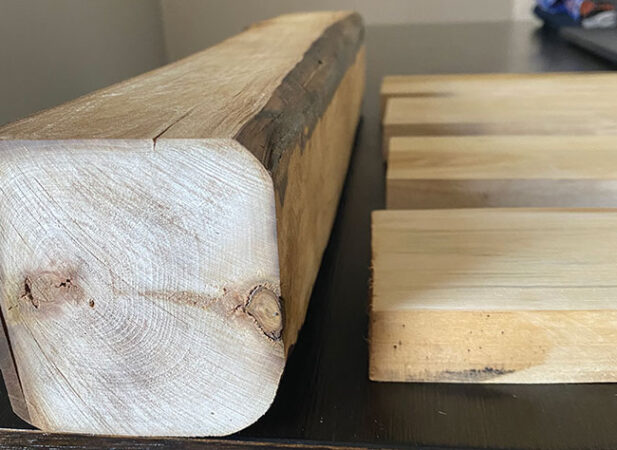 New life for low-grade timber and lumber - Forestry For The Future