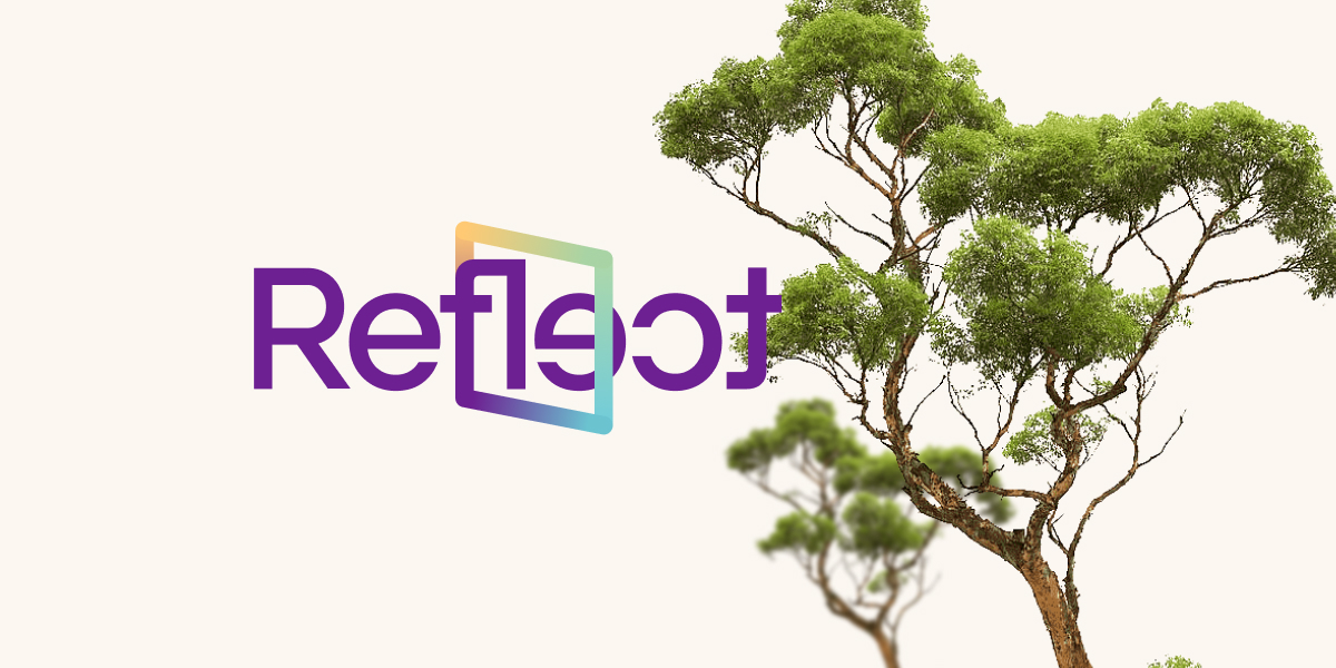 Reflect