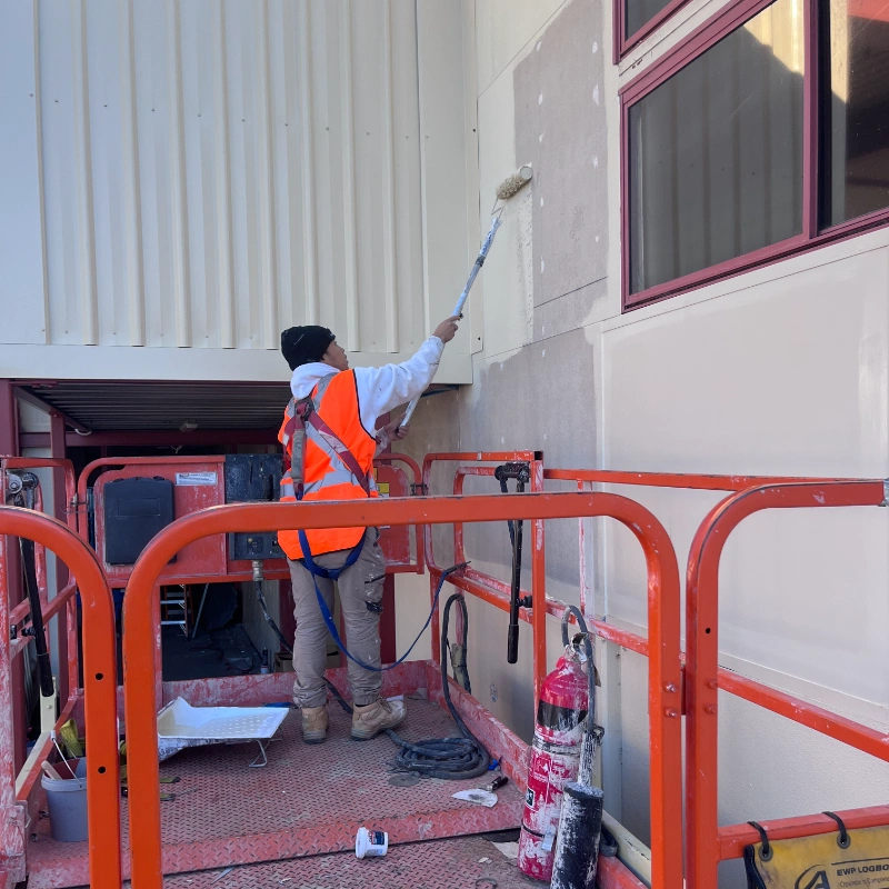 Distinct Painters | Painter Adelaide