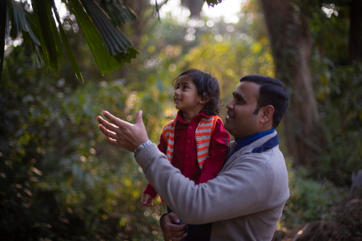 Varisu Certificate: All You Need To Know About This Legal Heir Certificate