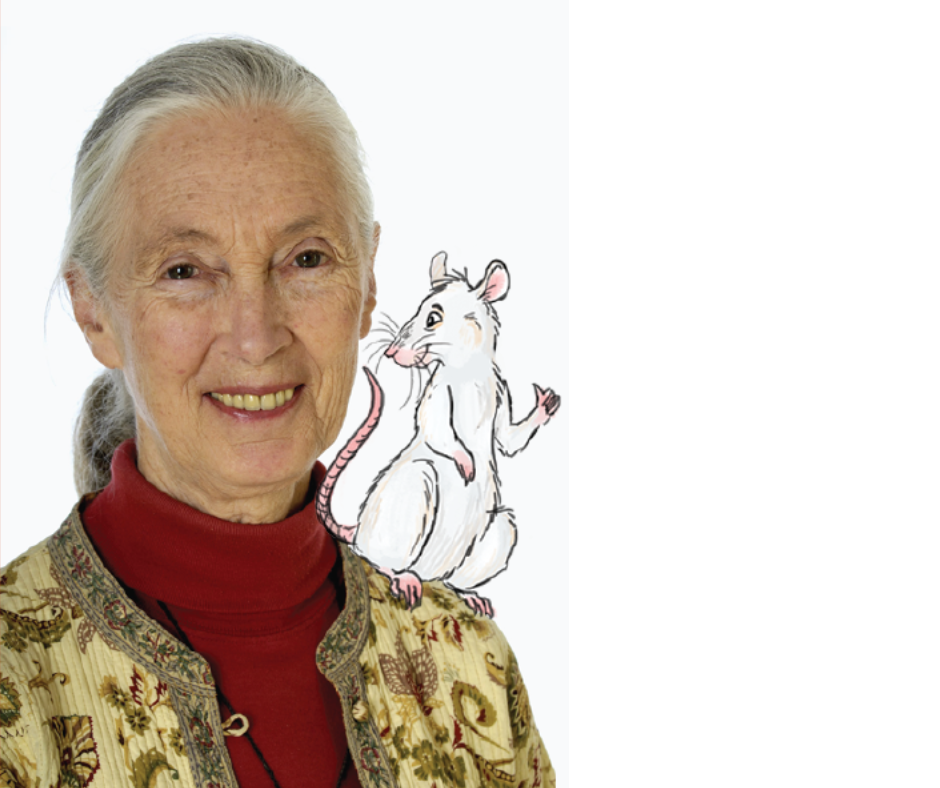 The Six-Foot Rats Reviews - NZAVS | Ending Animal Experimentation