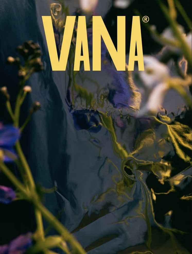 DEATH TO STOCK® - Access our trending visual universe